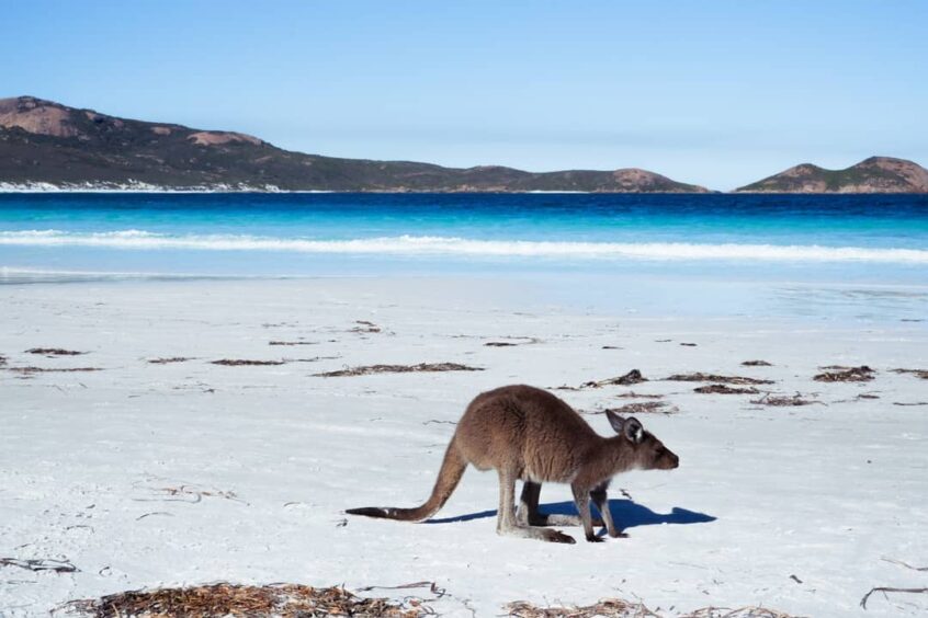 Explore the Beauty of Western Australia This Spring